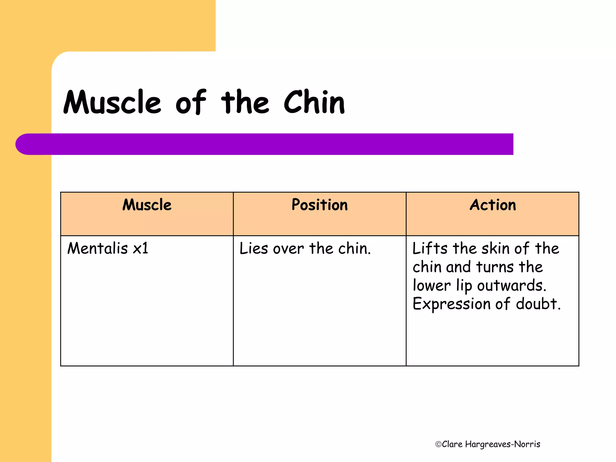 Facial muscles | PPTX