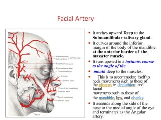 clinical anatomy of facial muscles.pptx