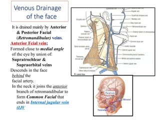 clinical anatomy of facial muscles.pptx