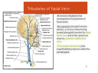 clinical anatomy of facial muscles.pptx