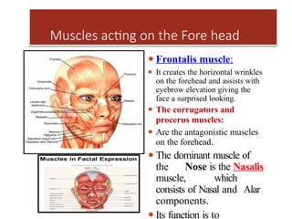 clinical anatomy of facial muscles.pptx