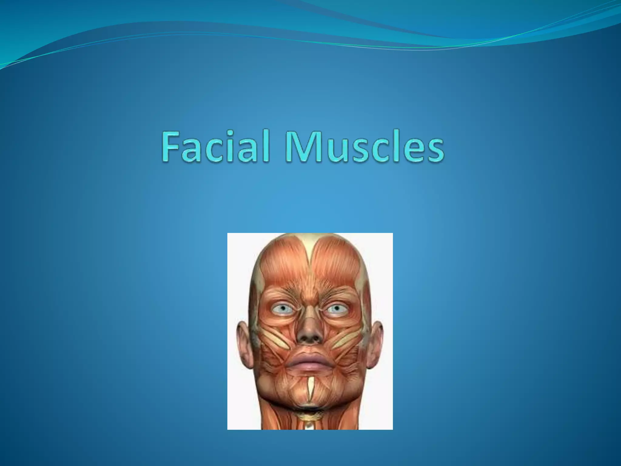Facial muscles | PPT
