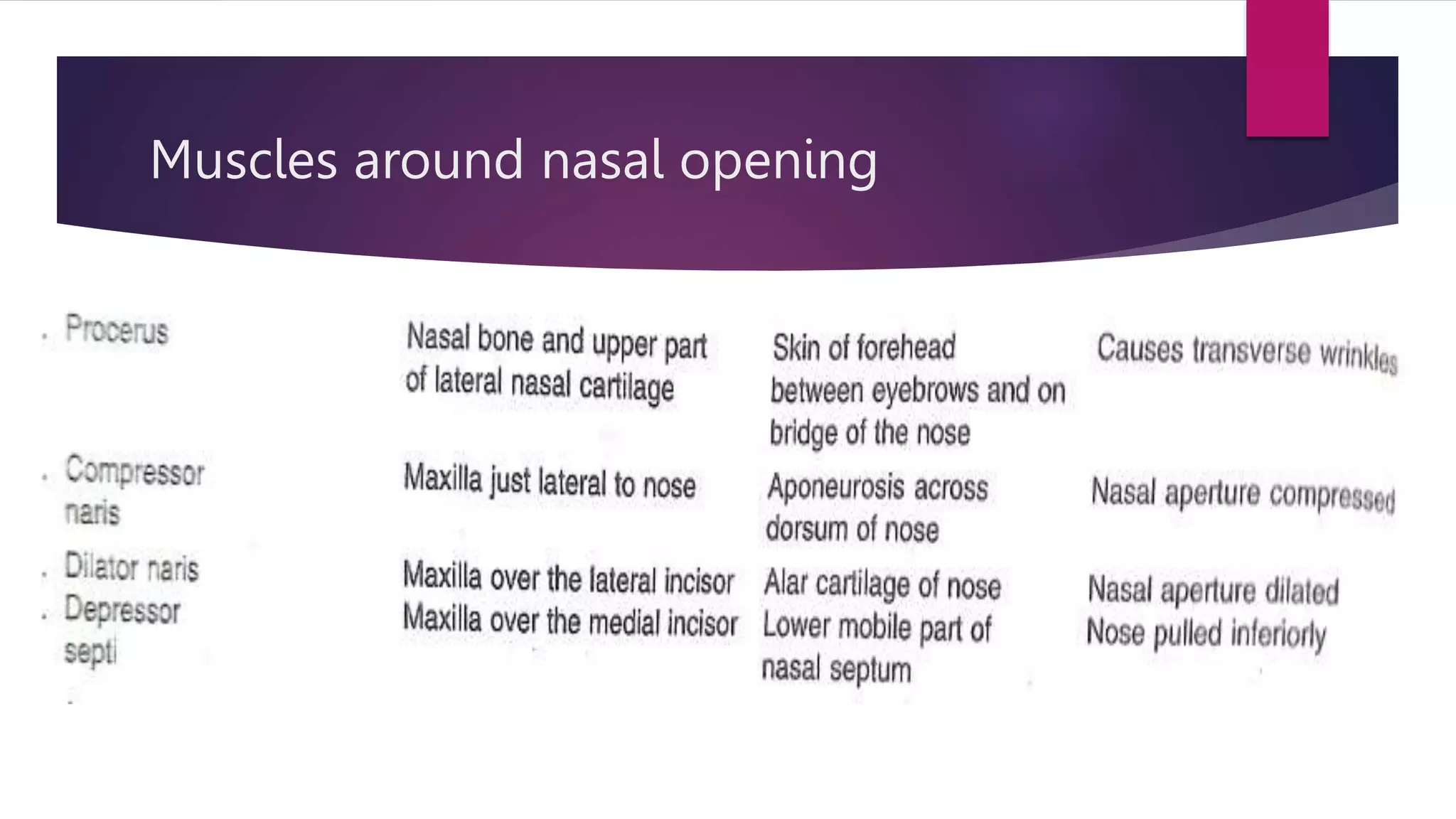 Facial muscles and its expression.pptx | Eye and Vision Conditions ...