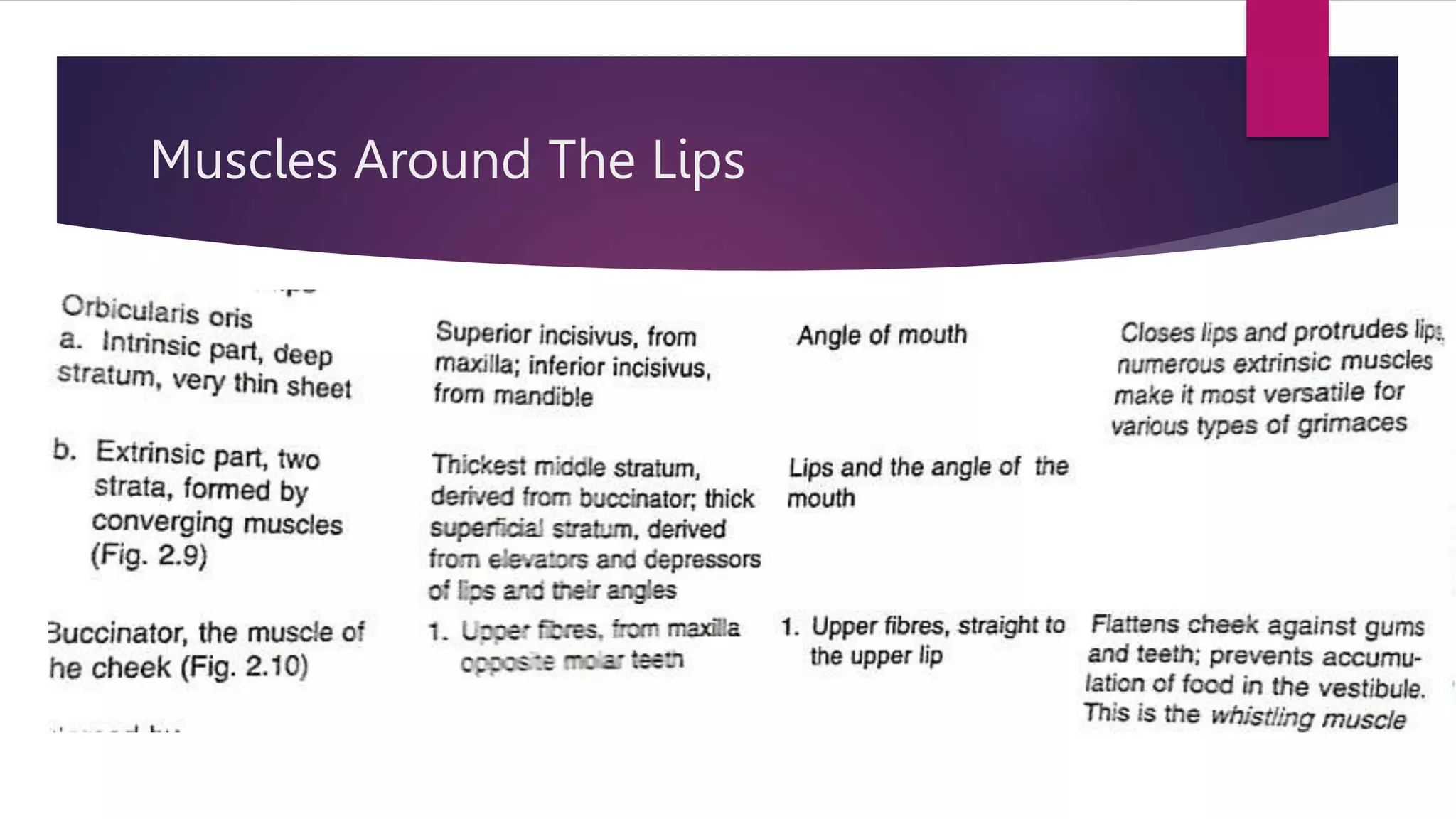 Facial muscles and its expression.pptx | Eye and Vision Conditions ...