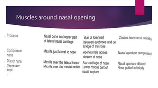 Facial muscles and its expression.pptx | Eye and Vision Conditions ...