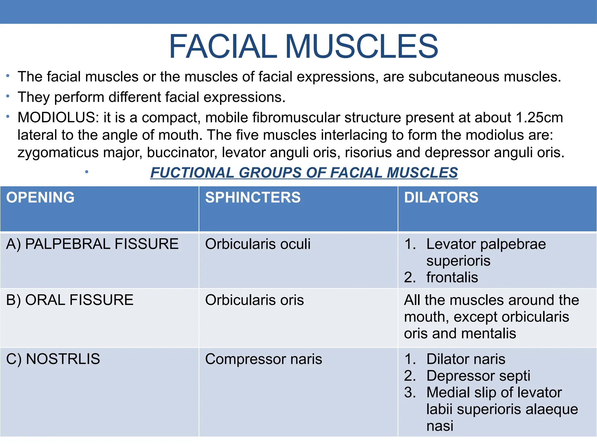 FACIAL MUSCLES AND NERVE SUPPLY anatomyy | PPTX