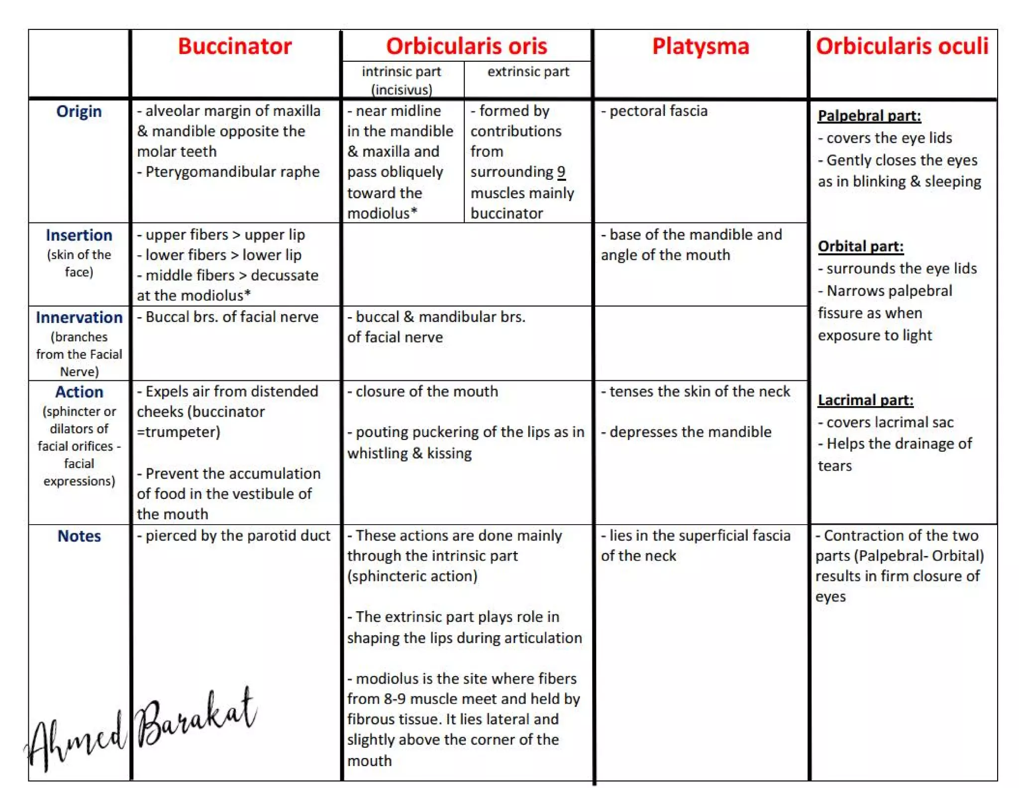 Facial muscles & muscles of mastication | PDF