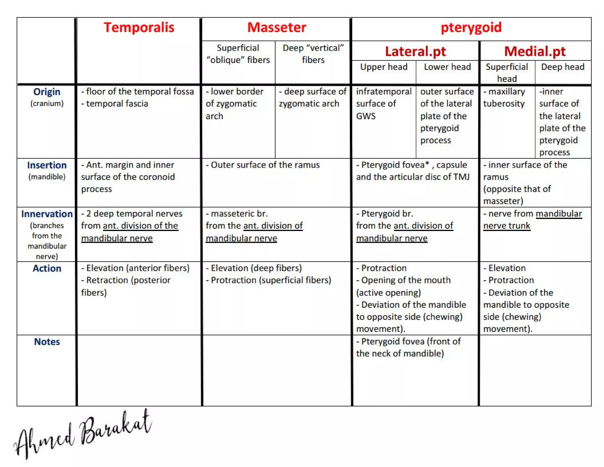 Facial muscles & muscles of mastication | PDF