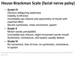Facial nerve | PPTX