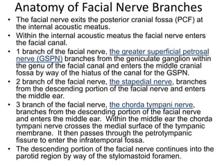 Hiatus Of Facial Canal