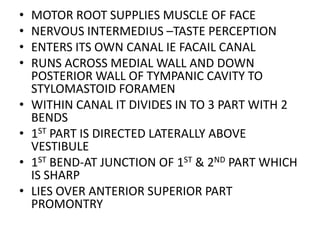 Facial nerve | PPT