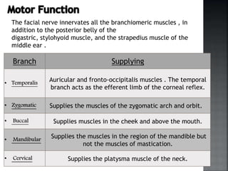 Facial nerve | PPTX