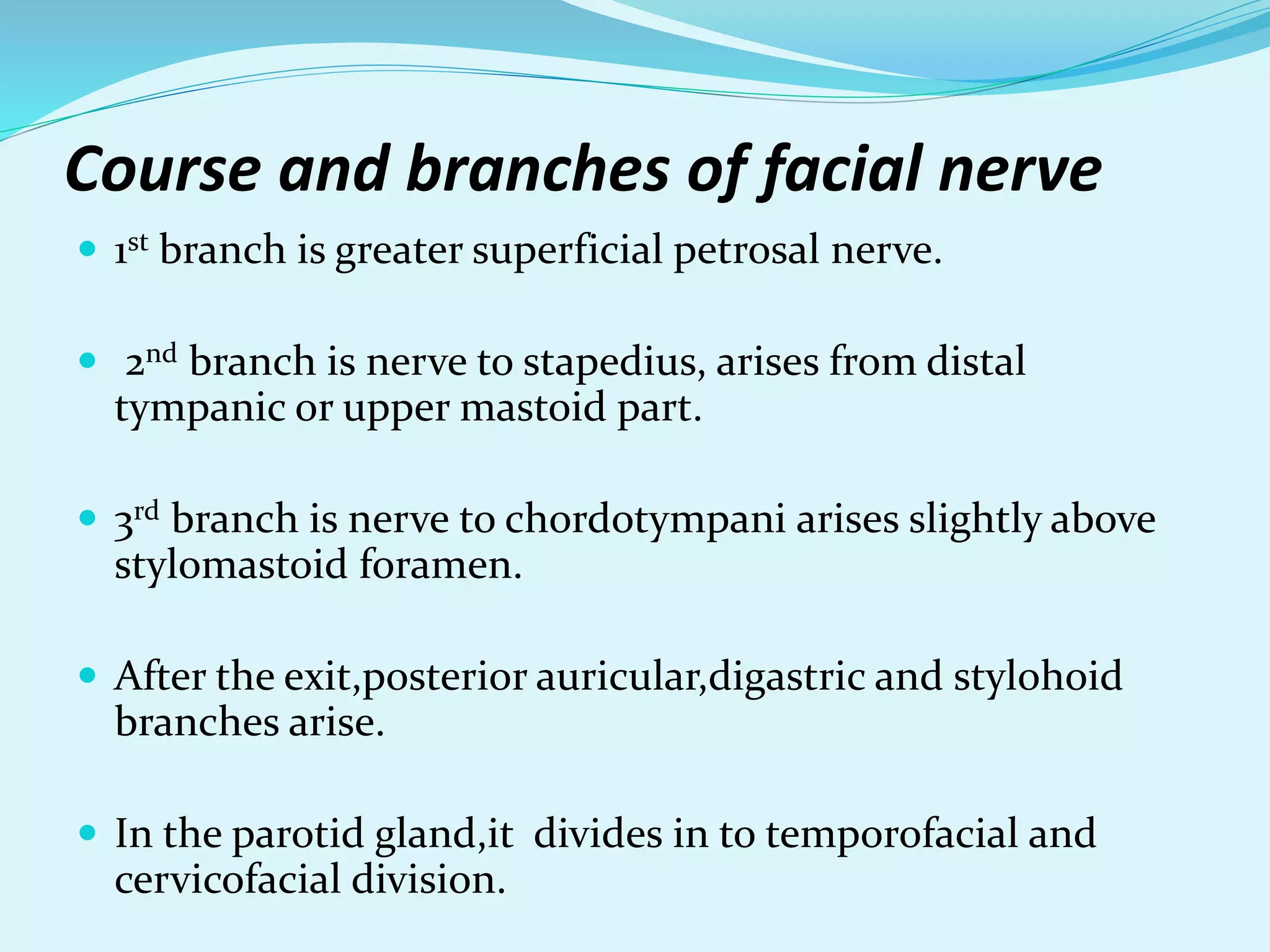 Facial nerve | PPTX