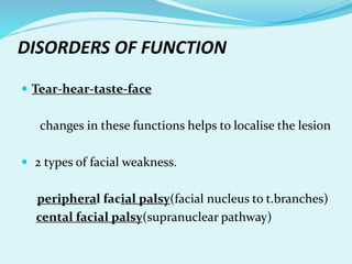 Facial nerve | PPTX
