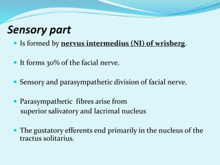 Facial nerve | PPTX