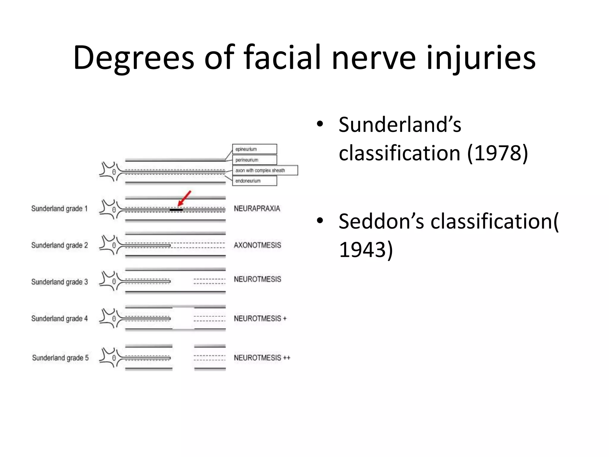 Facial nerve traumatic injury and repair | PPTX