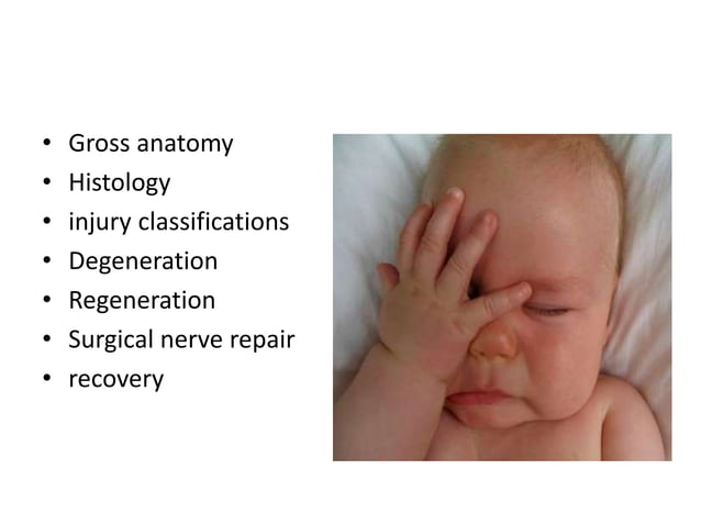 Facial nerve traumatic injury and repair | PPTX | Death, Injury, or ...