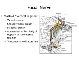 Facial nerve traumatic injury and repair | PPTX