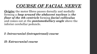 Facial Nerve Paralysis | PPT