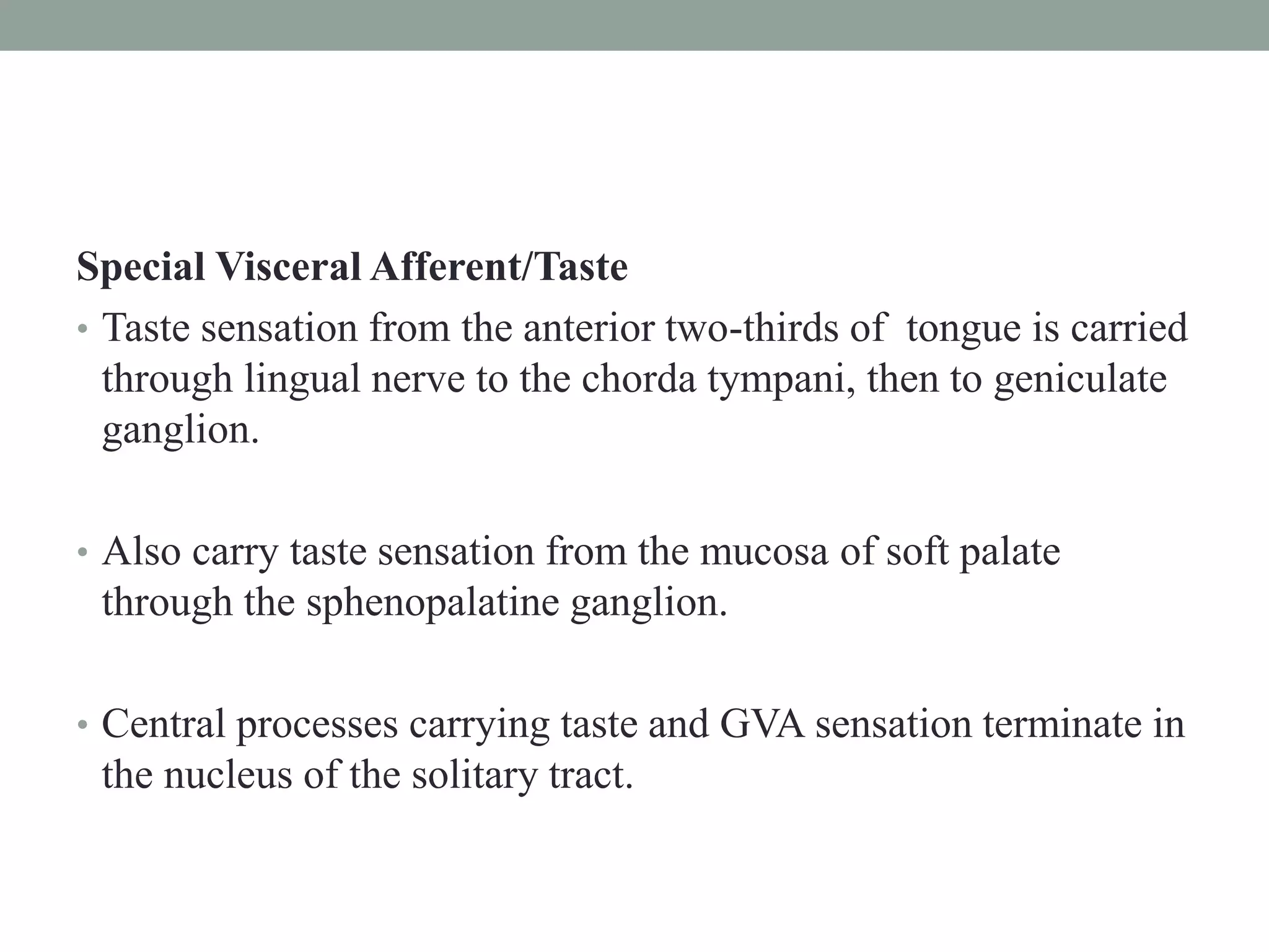 Facial nerve | PPTX