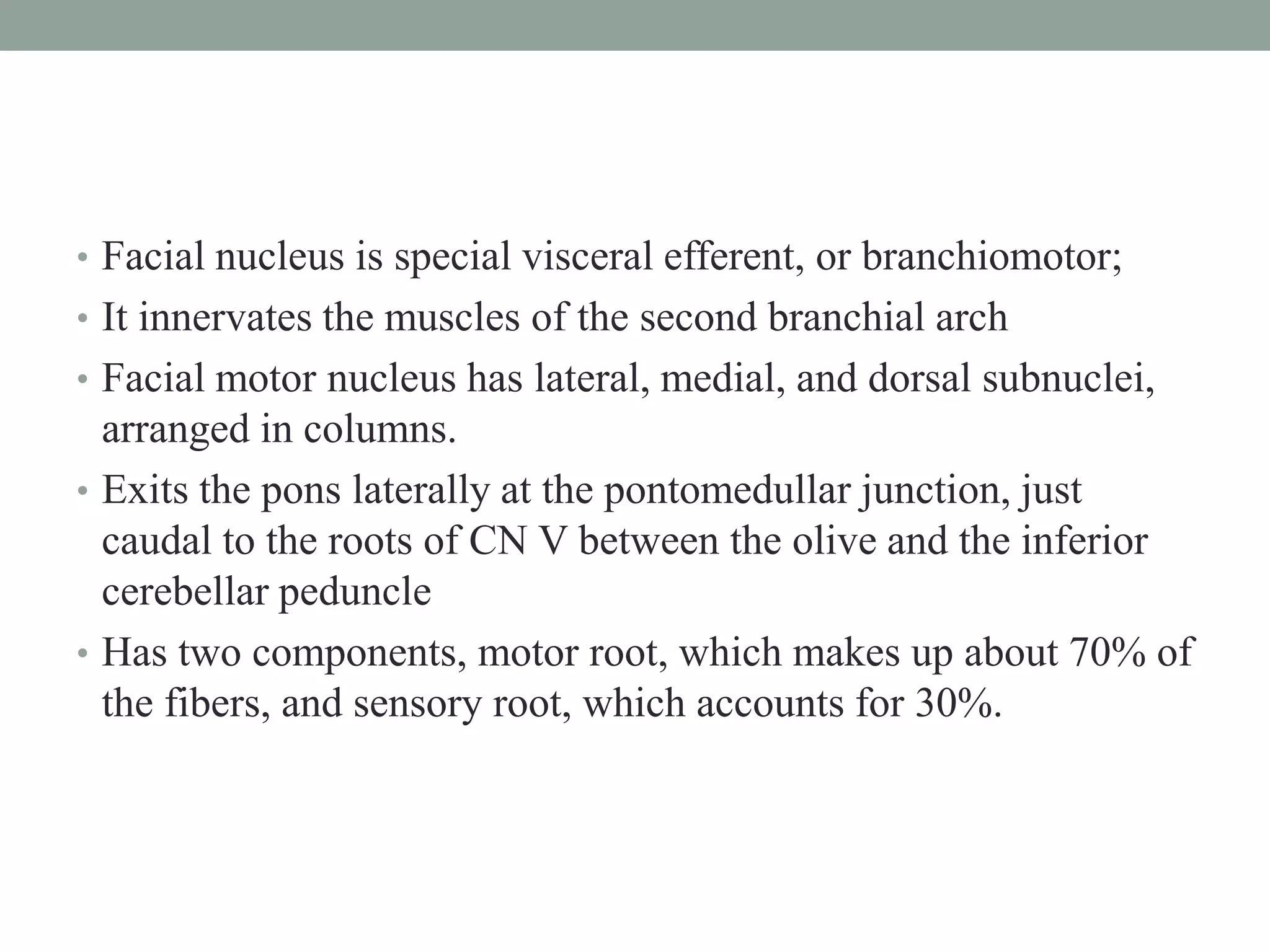 Facial nerve | PPTX