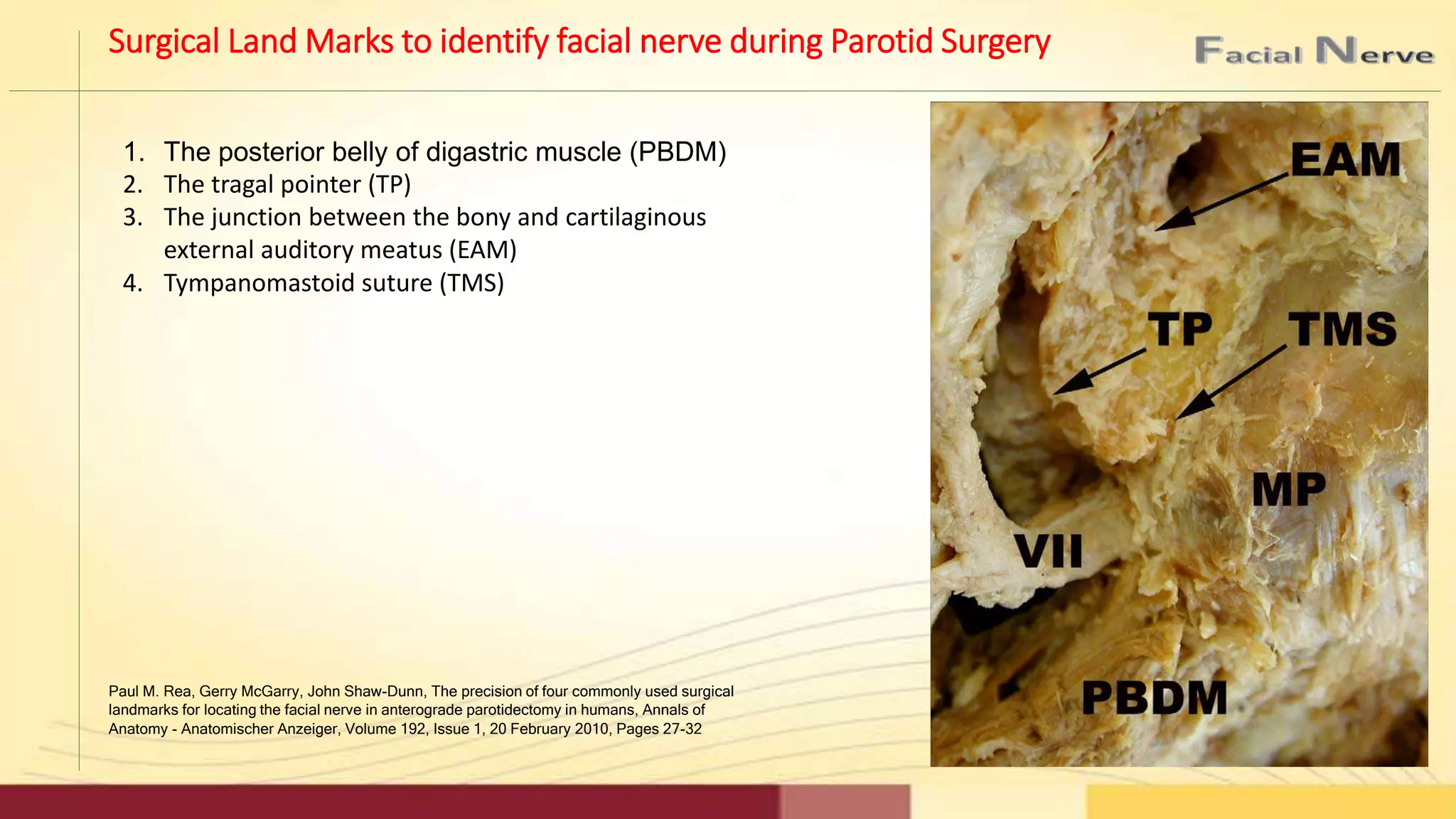 Facial nerve | PPTX