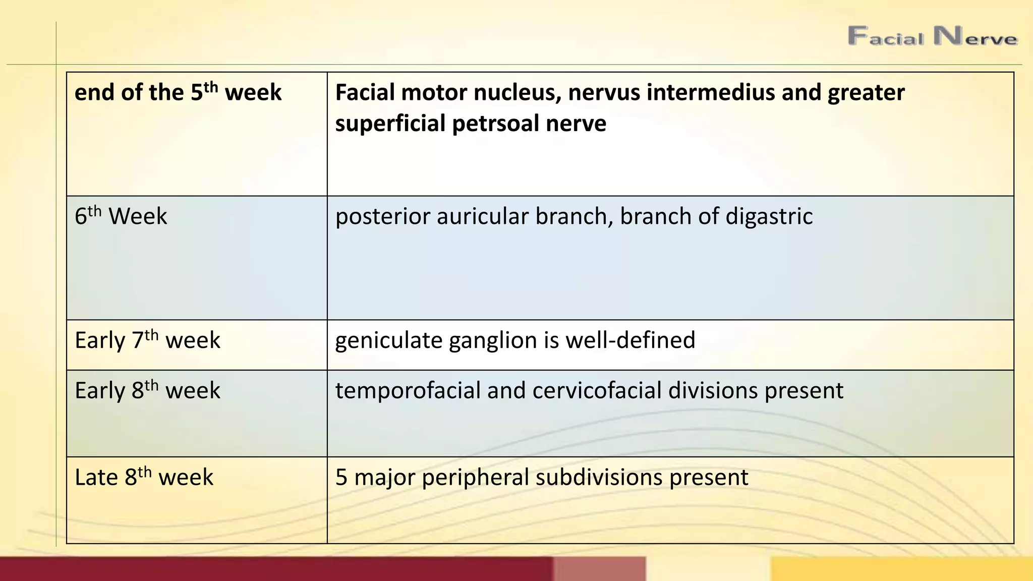 Facial nerve | PPTX