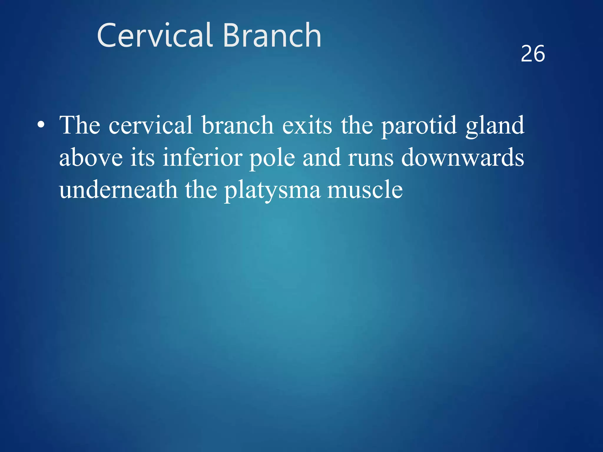 facialnerve-161104185045.pptx