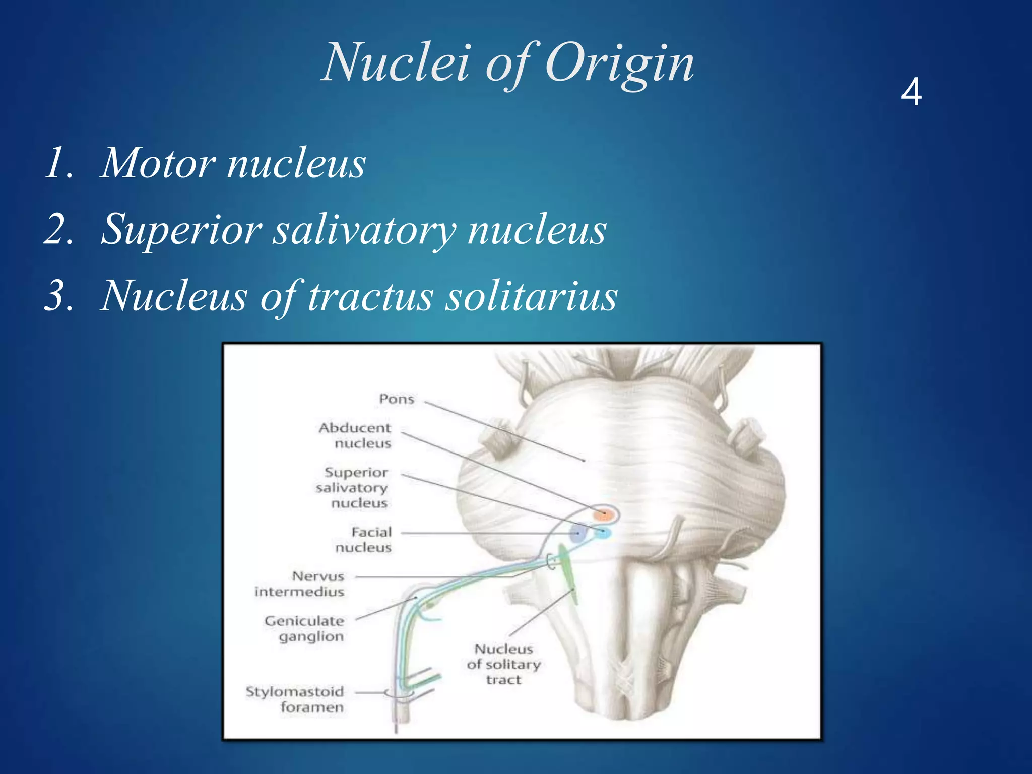 facialnerve-161104185045.pptx