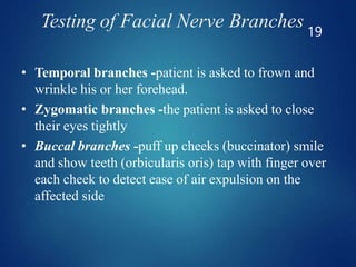 facialnerve-161104185045.pptx