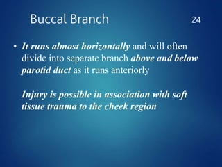 facialnerve-161104185045.pptx