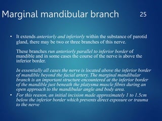 facialnerve-161104185045.pptx