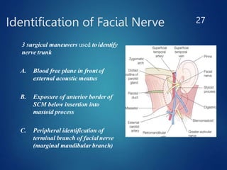 facialnerve-161104185045.pptx