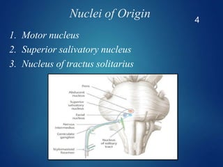 facialnerve-161104185045.pptx