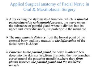 Facial nerve | PPTX
