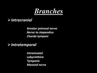 Facialnerve | PPTX