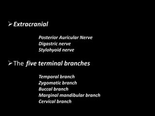 Facialnerve | PPT