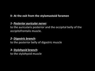 Facialnerve | PPTX