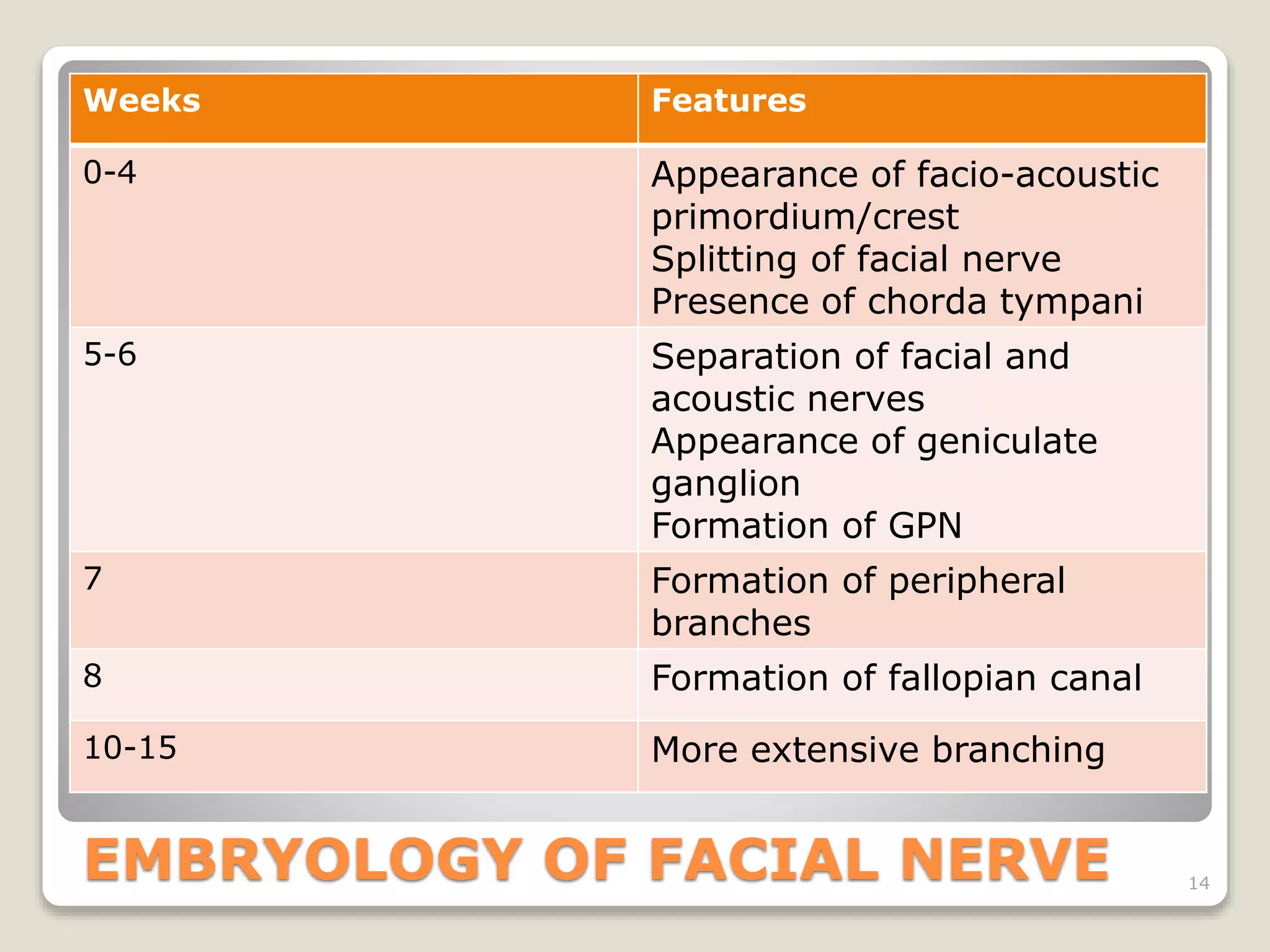Facial nerve | PPTX