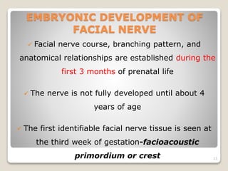 Facial nerve | PPTX