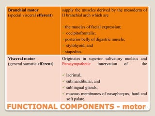 Facial nerve | PPTX