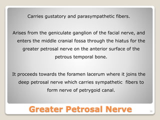 Facial nerve | PPTX