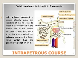 Facial Nerve Course In Middle Ear