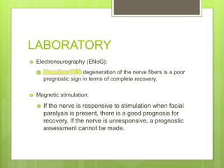 Facial nerve anatomy, pathology | PPTX