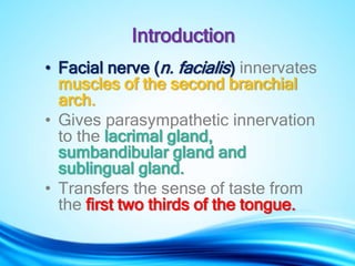 Facial nerve | PPSX