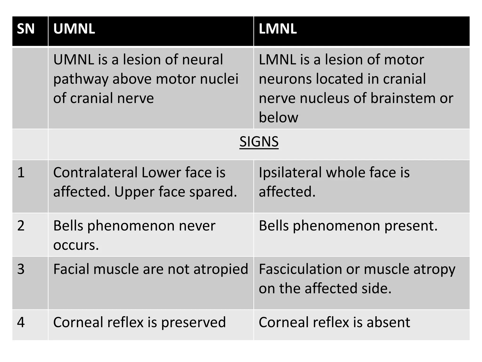 Facial nerve | PPTX
