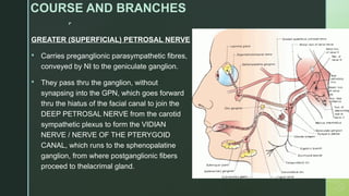 Hiatus Of Facial Canal