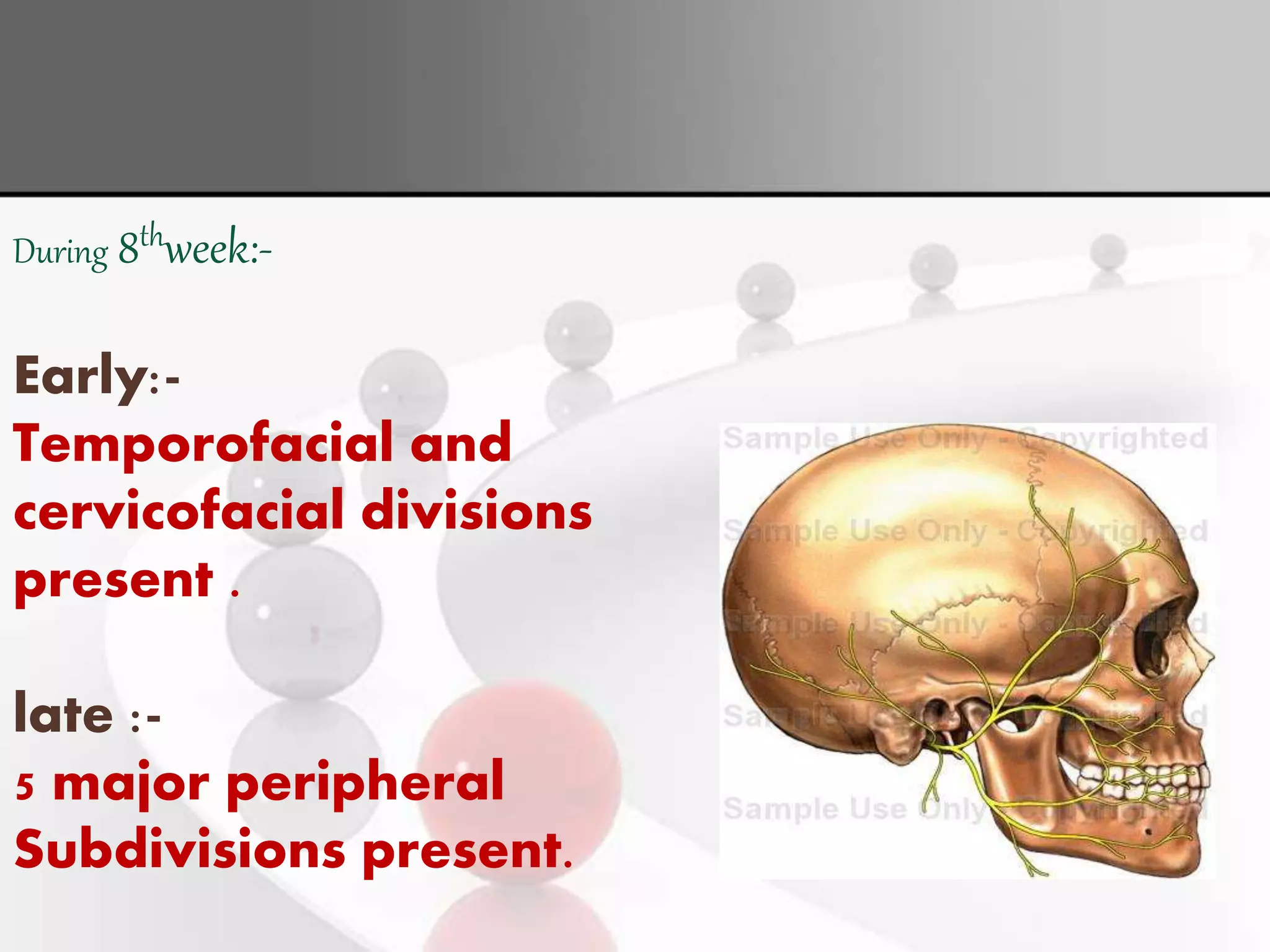 Facial nerve | PPTX