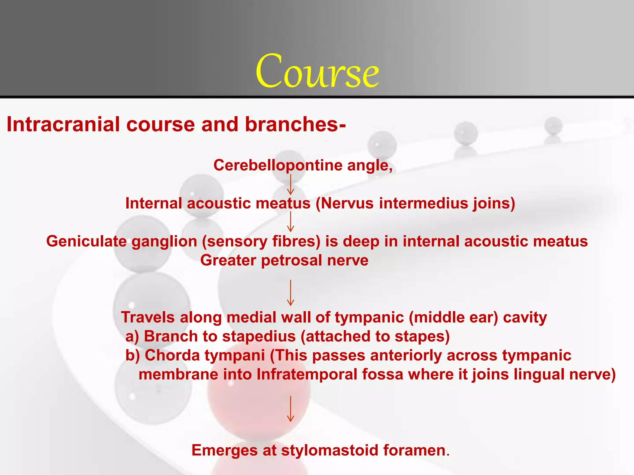 Facial nerve | PPTX
