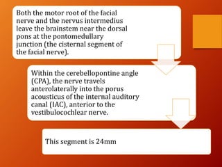 Facial nerve | PPTX